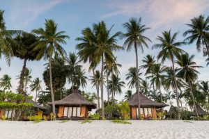 Types of Resorts and What Makes Each One Unique | Neonz